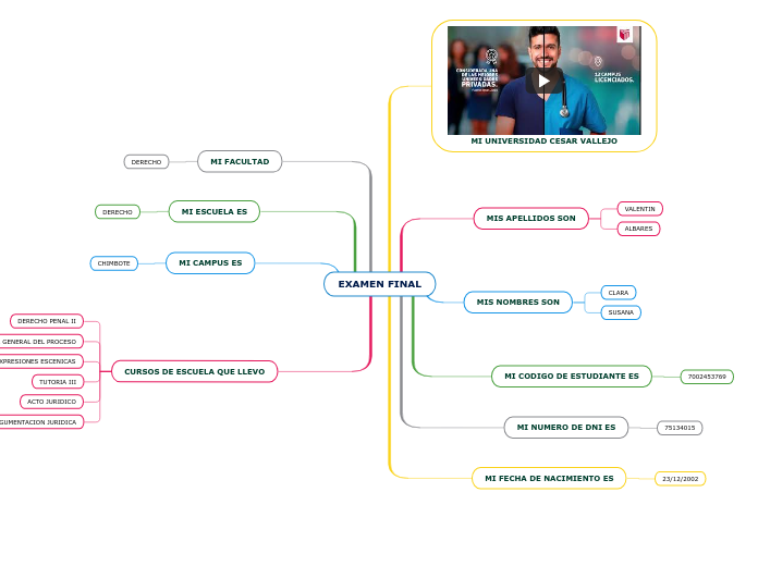 EXAMEN FINAL - Mind Map